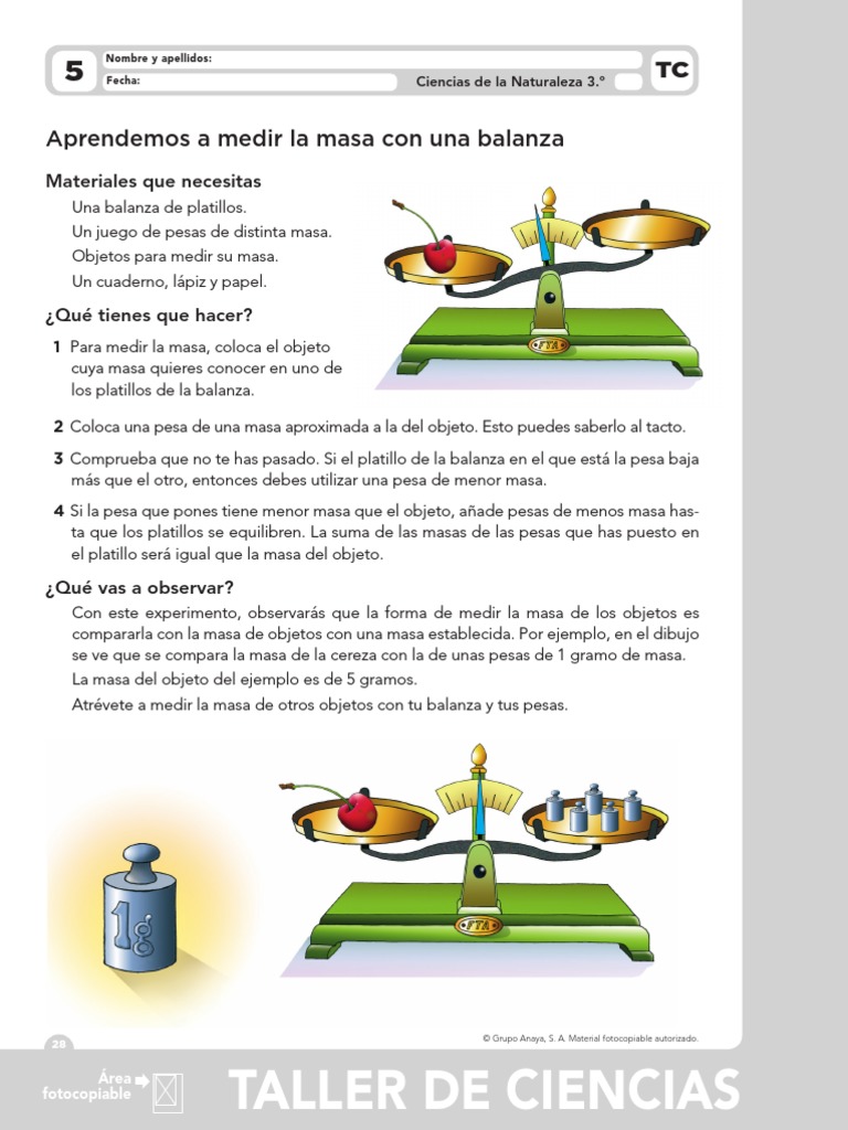 3ºcn T Balanza | PDF | Balanza | Masa