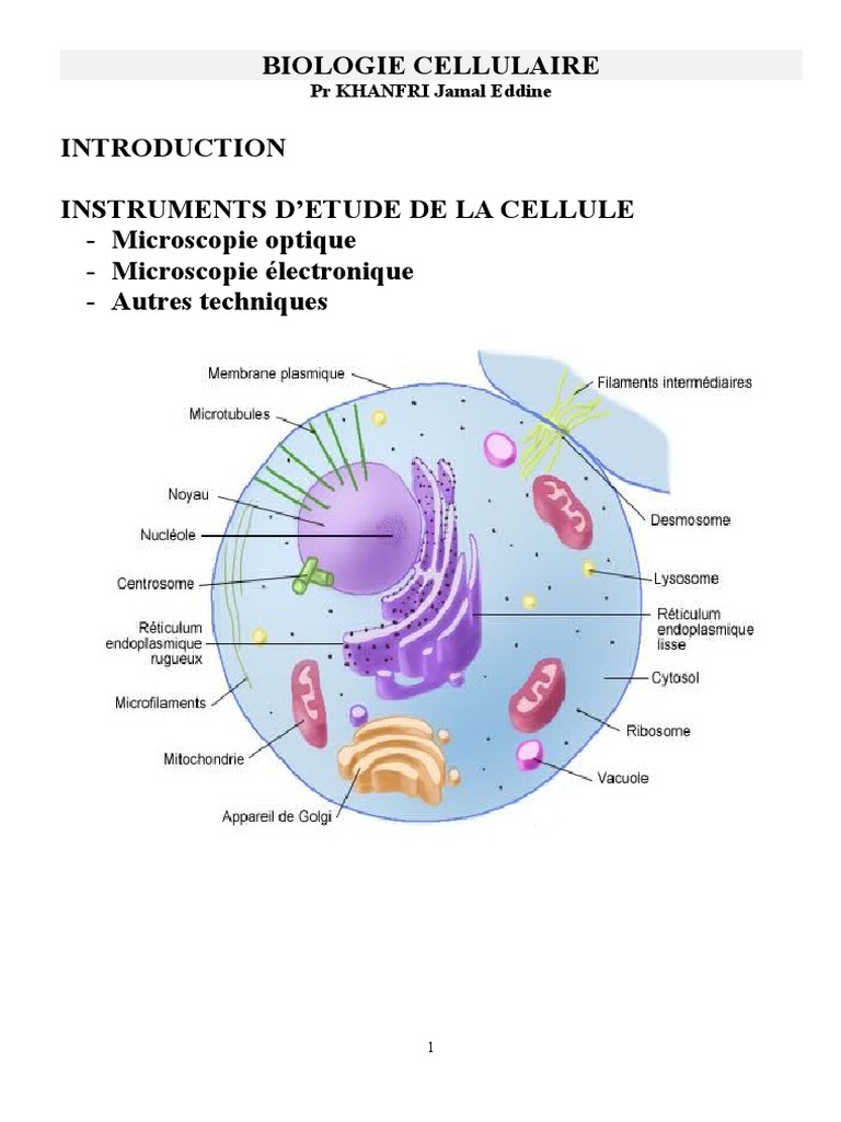 Introd Bio Cell Tech Et Rappels FPA | PDF | Cellule (Biologie) | Biologie cellulaire