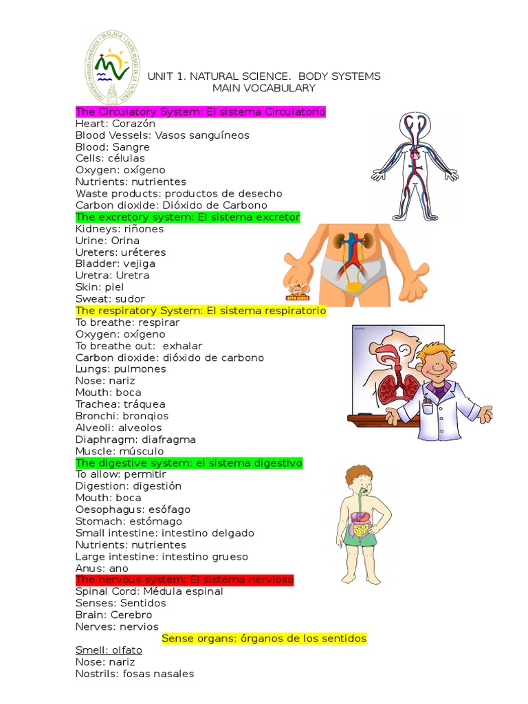 UNIT 1. Natural Science. Body System. Main Vocabulary | PDF