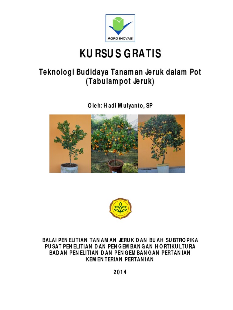 Teknologi Budidaya Tabulampot Jeruk PDF | PDF