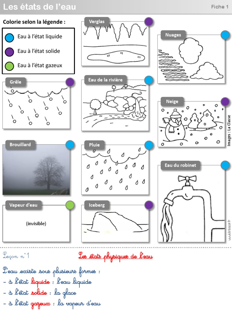 Les états de l'eau pour CE1 | PDF