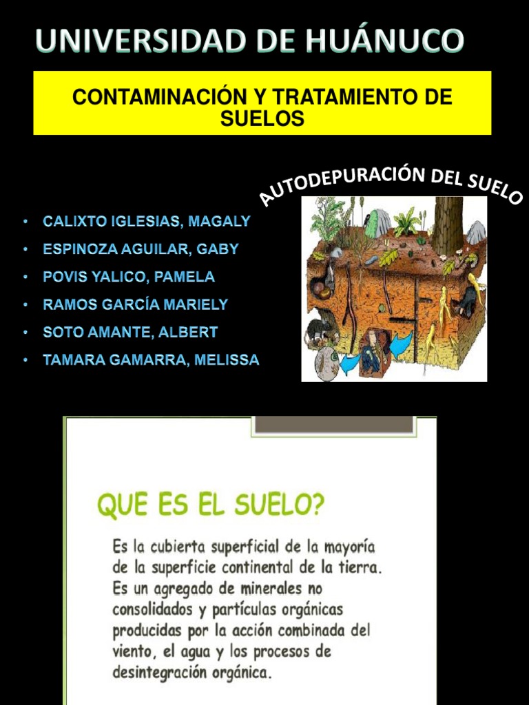 Suelos: Contaminación y Tratamiento | PDF | Suelo | Complejo de ...