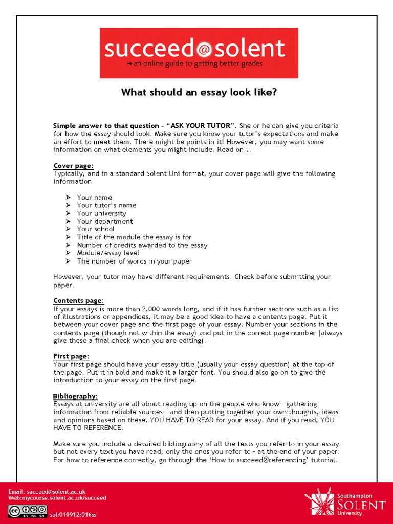 What An Essay Should Look Like | PDF | Essays | Bibliography