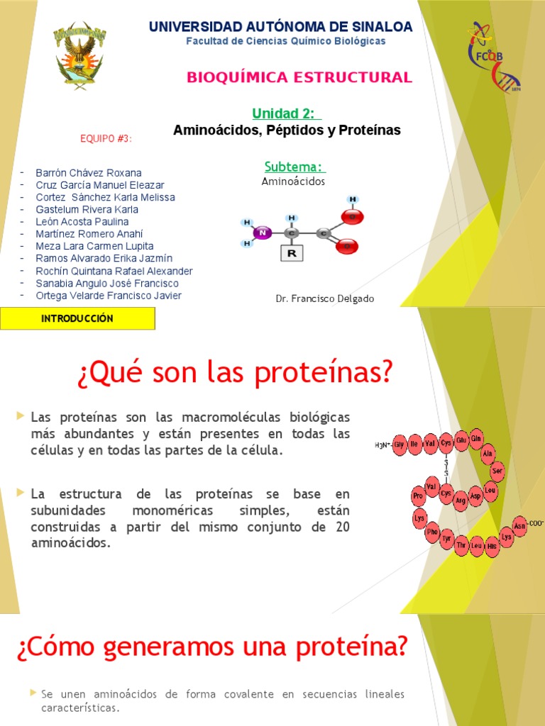 Exposición Bioquímica Aminoácidos | PDF | Proteínas | Valoración