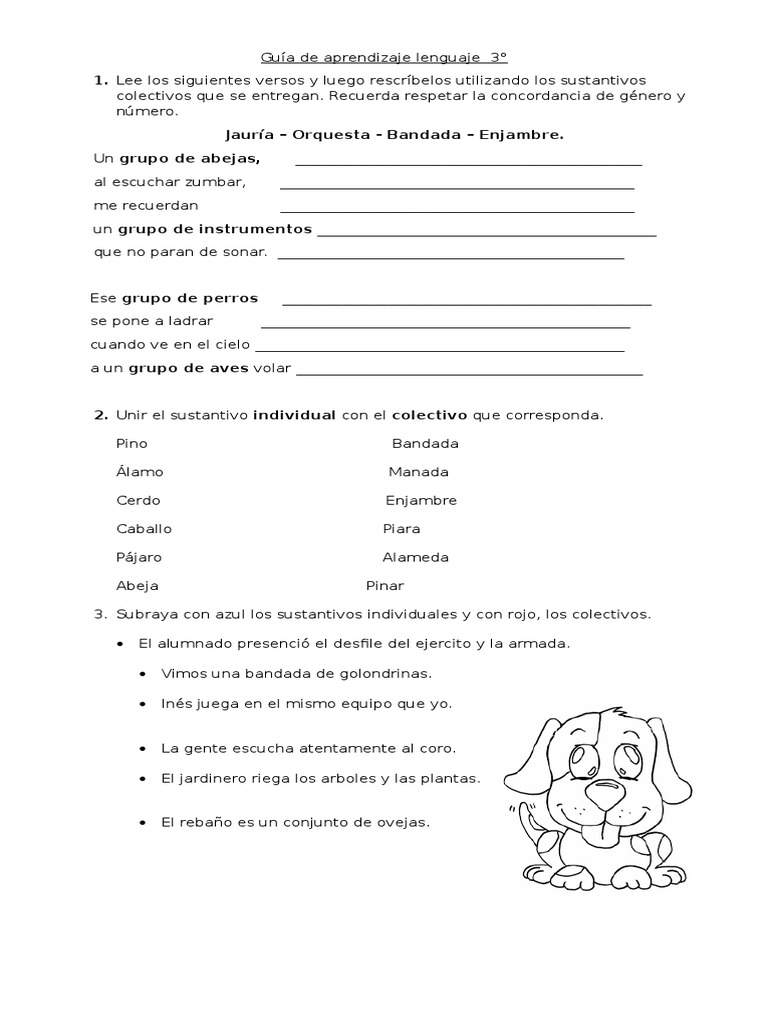 Sustantivos Colectivos en Lenguaje 3° | PDF