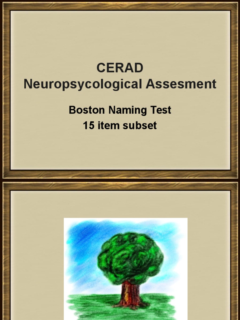 Cerad Neuropsycological Assesment: Boston Naming Test 15 Item Subset | PDF