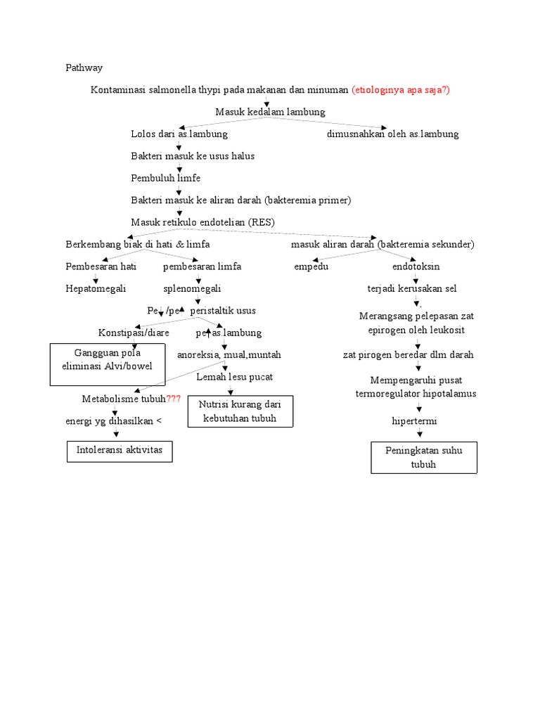 Askep Thypoid Fever | PDF | Pengembangan Diri | Kesehatan Holistik