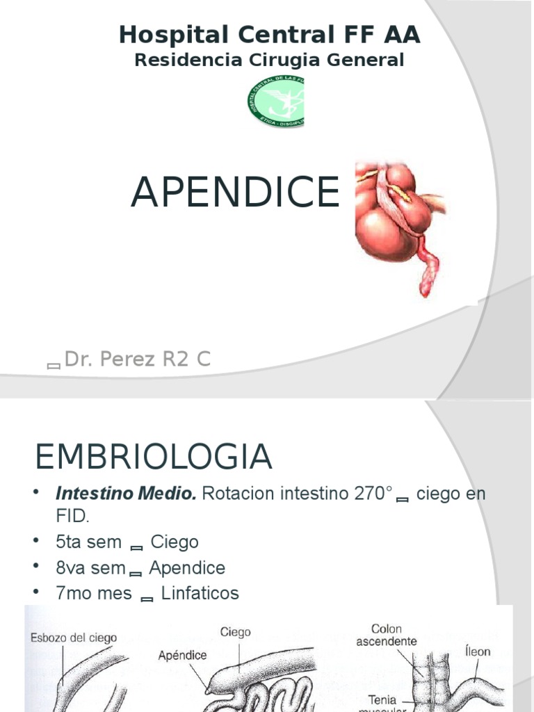 apendice | Especialidades Medicas | Medicina CLINICA | Prueba gratuita ...