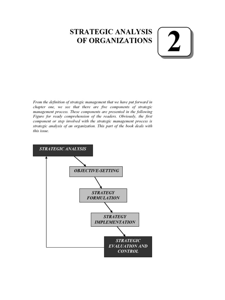 Strategic Analysis of Organizations | PDF | Strategic Management ...