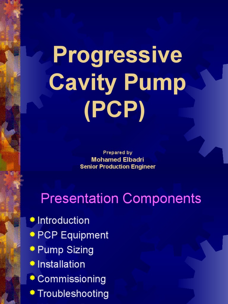 Progressive Cavity Pump (PCP) : Mohamed Elbadri | PDF | Pump | Flow ...