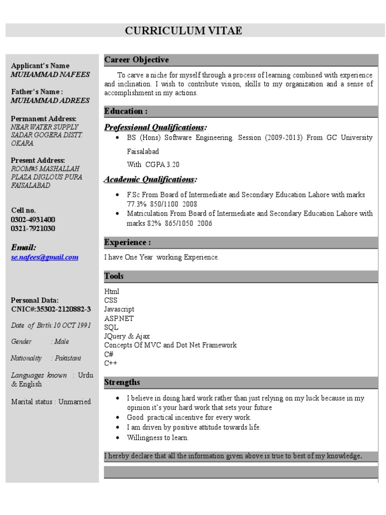 Curriculum Vitae: Career Objective | PDF