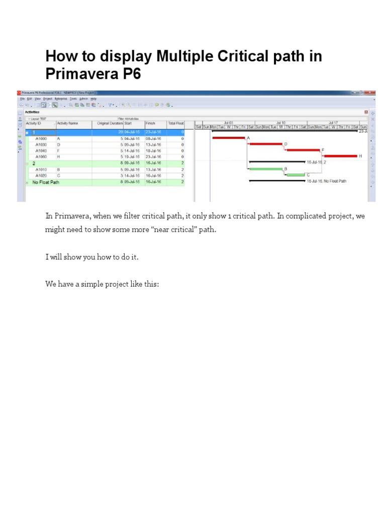 How To Display Multiple Critical Path in Primavera | PDF