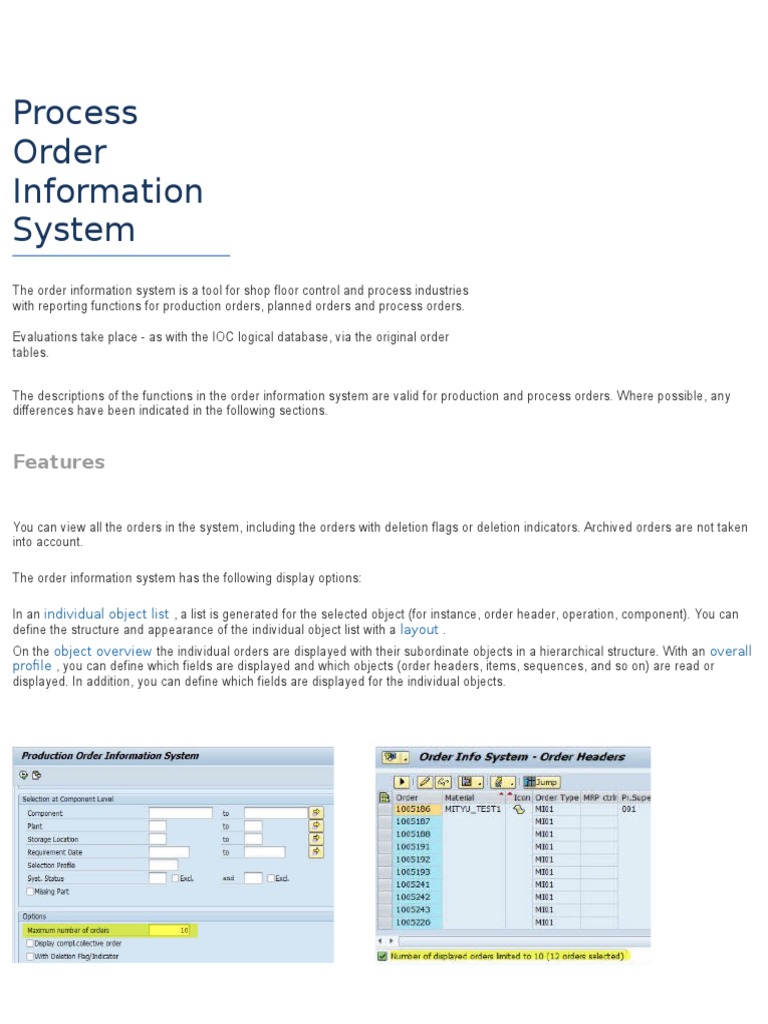 Process Order Information System | PDF | Computers