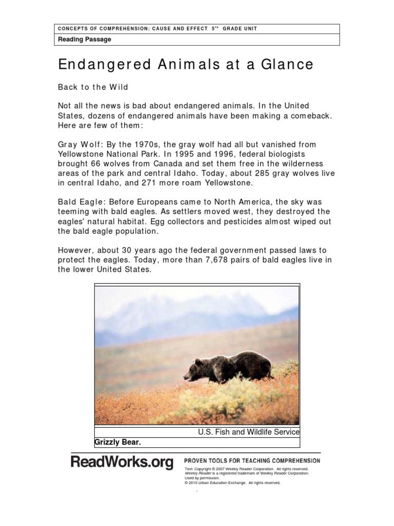 Endangered Animals | PDF | Endangered Species | Grizzly Bear