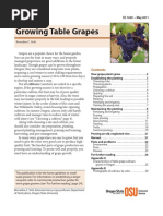 Understanding the Zadoks Growth Scale | PDF | Plant Morphology | Plant ...