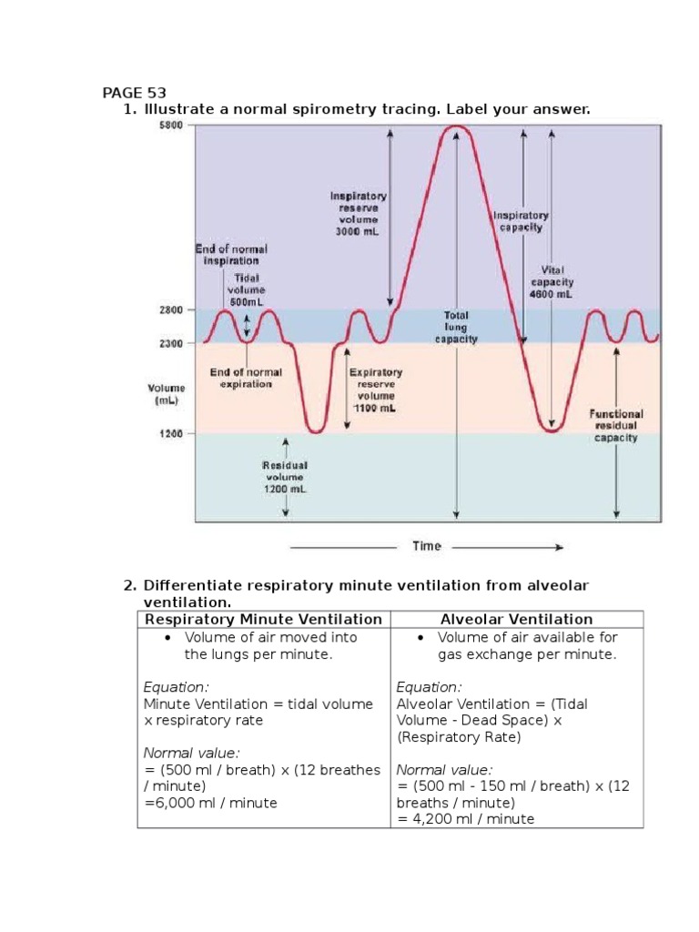 Differentiating Respiratory Parameters and Exploring the Clinical ...