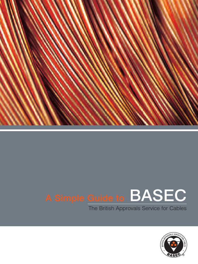 BASEC Simple Guide PDF | PDF
