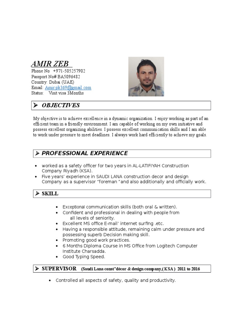 Amir Zeb: Professional Profile Summary | PDF