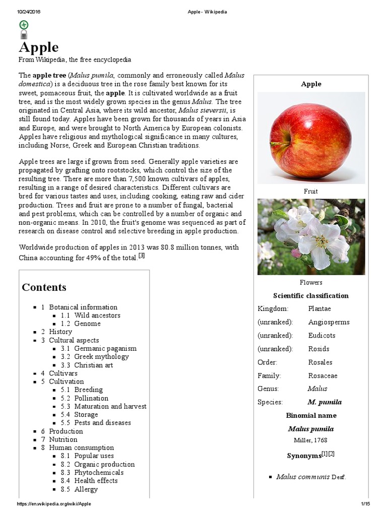Apple | PDF