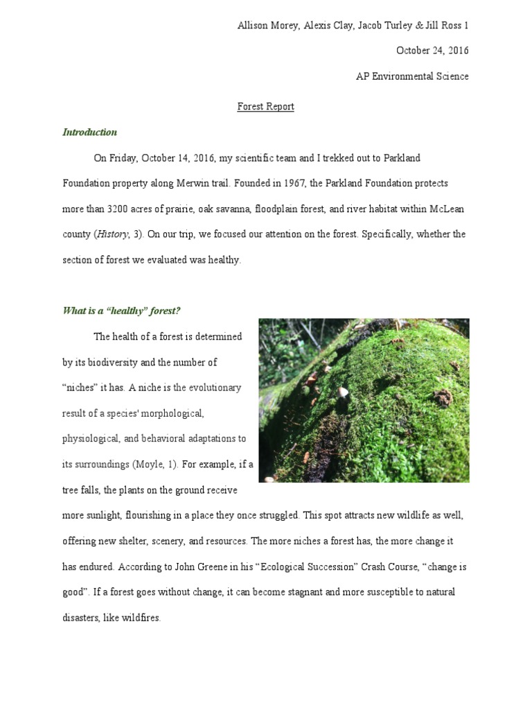 Forestreport | PDF | Forests | Predation