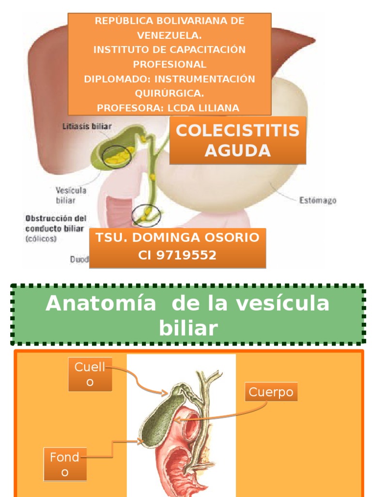 Colecistitis Aguda | PDF | Vesícula biliar | Sistema exocrino
