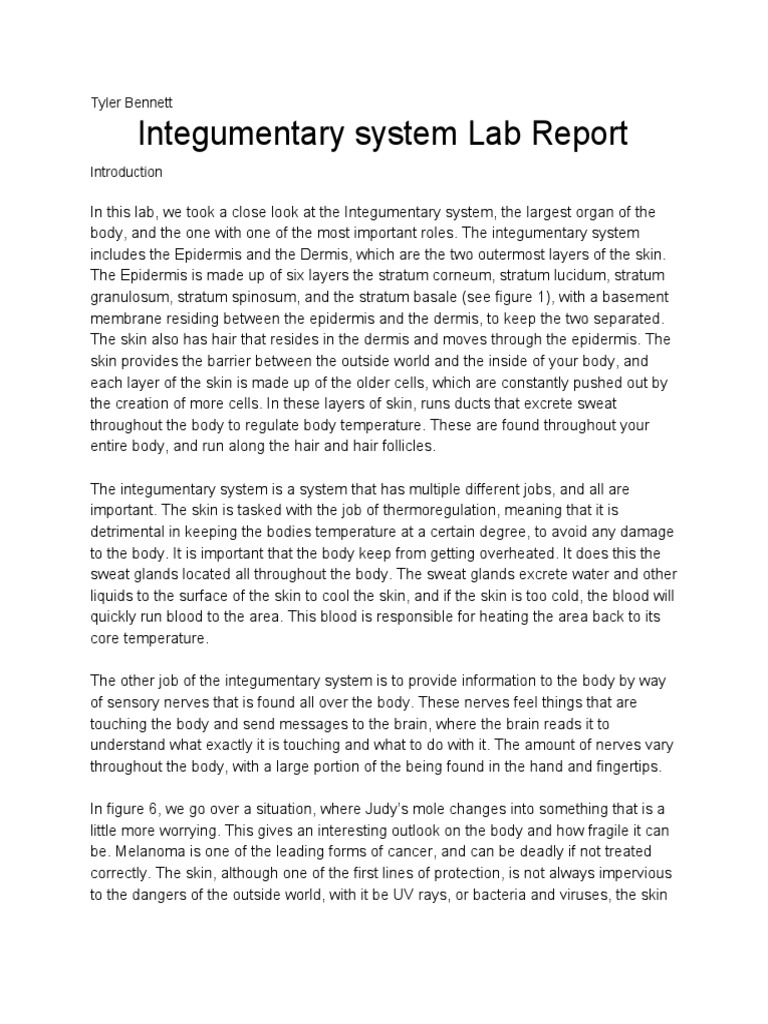 Integumentary System Lab Report: Tyler Bennett | PDF | Skin | Integumentary System