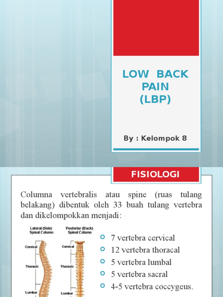 Low Back Pain Pdf