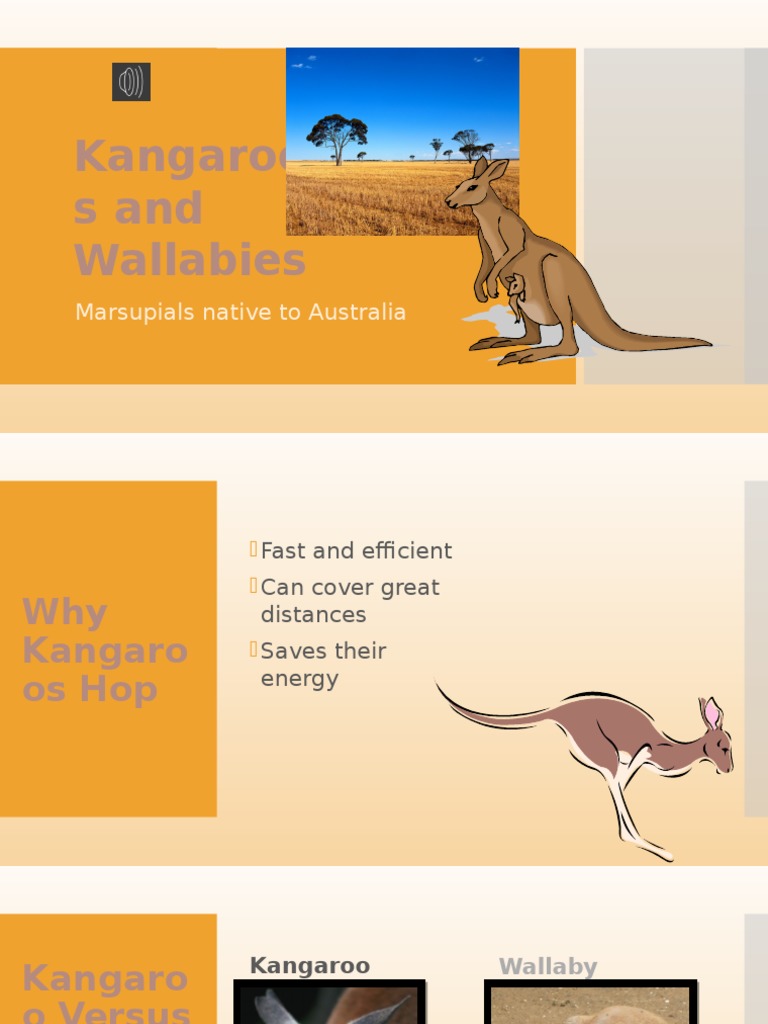 Lab 3-1 Kangaroos | PDF