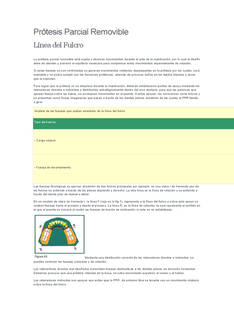 Linea de Fulcrum | Descargar gratis PDF | Dentadura postiza | Naturaleza