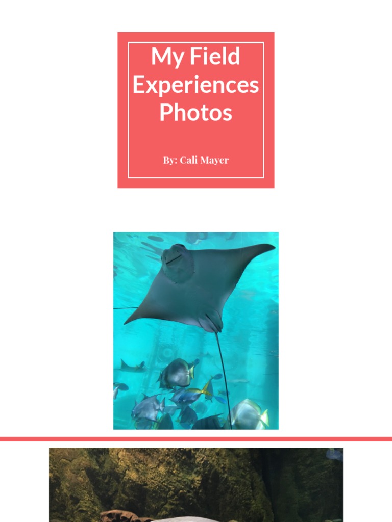 Field Experiences | PDF