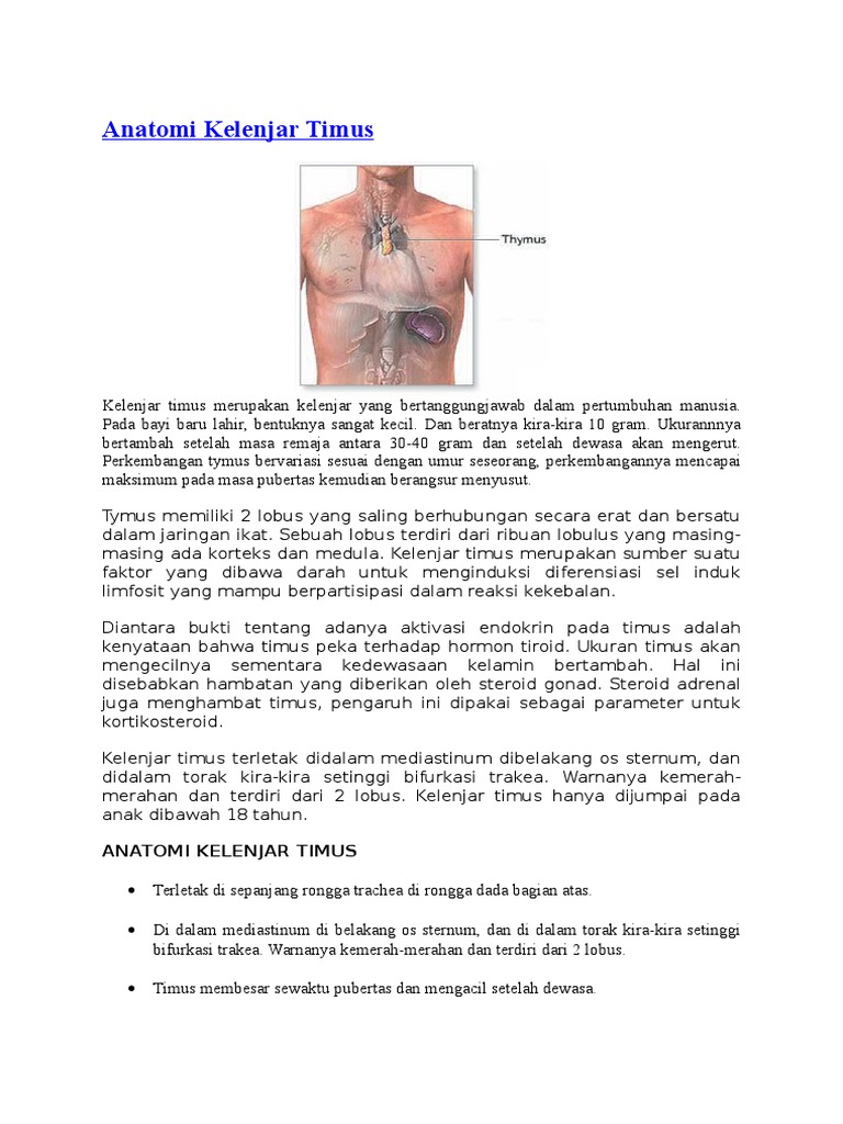 Fungsi dan Anatomi Kelenjar Timus | PDF | Ilmu Sosial | Kesehatan Holistik