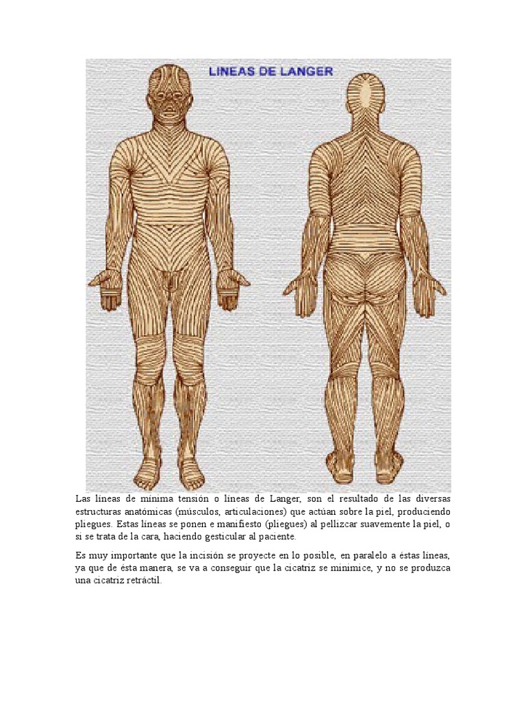 Las Líneas de Mínima Tensión o Líneas de Langer | PDF
