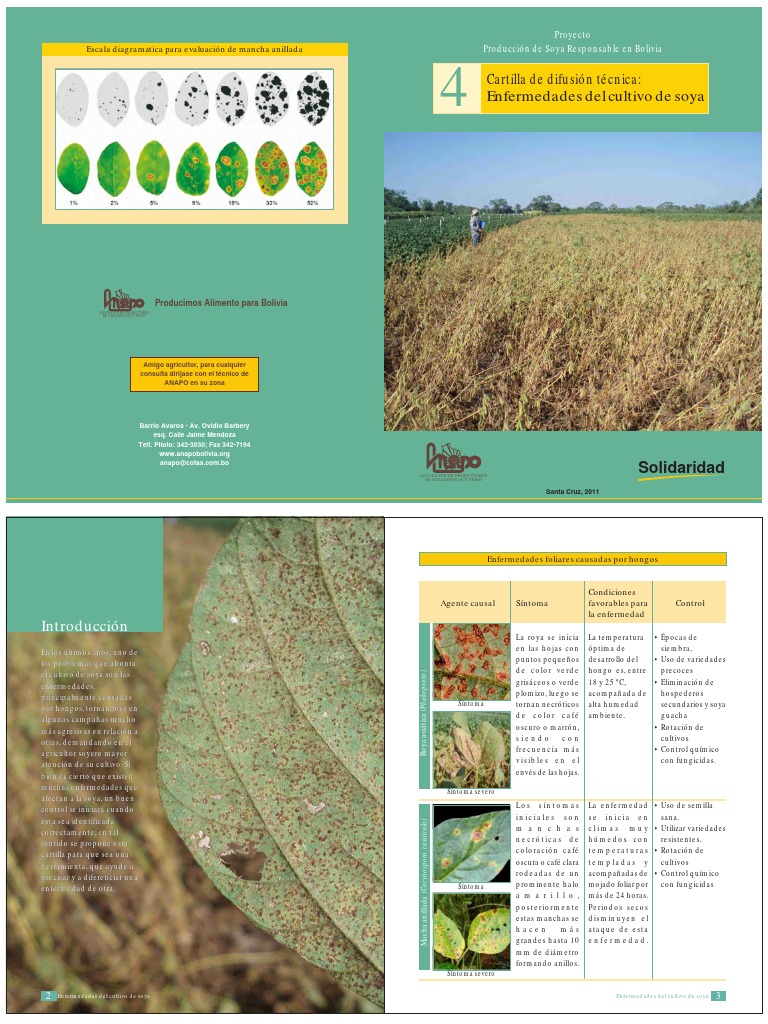 Publicacion Tecnica Cartilla 4 Enfermedades Cultivo Soya | PDF | Hoja ...