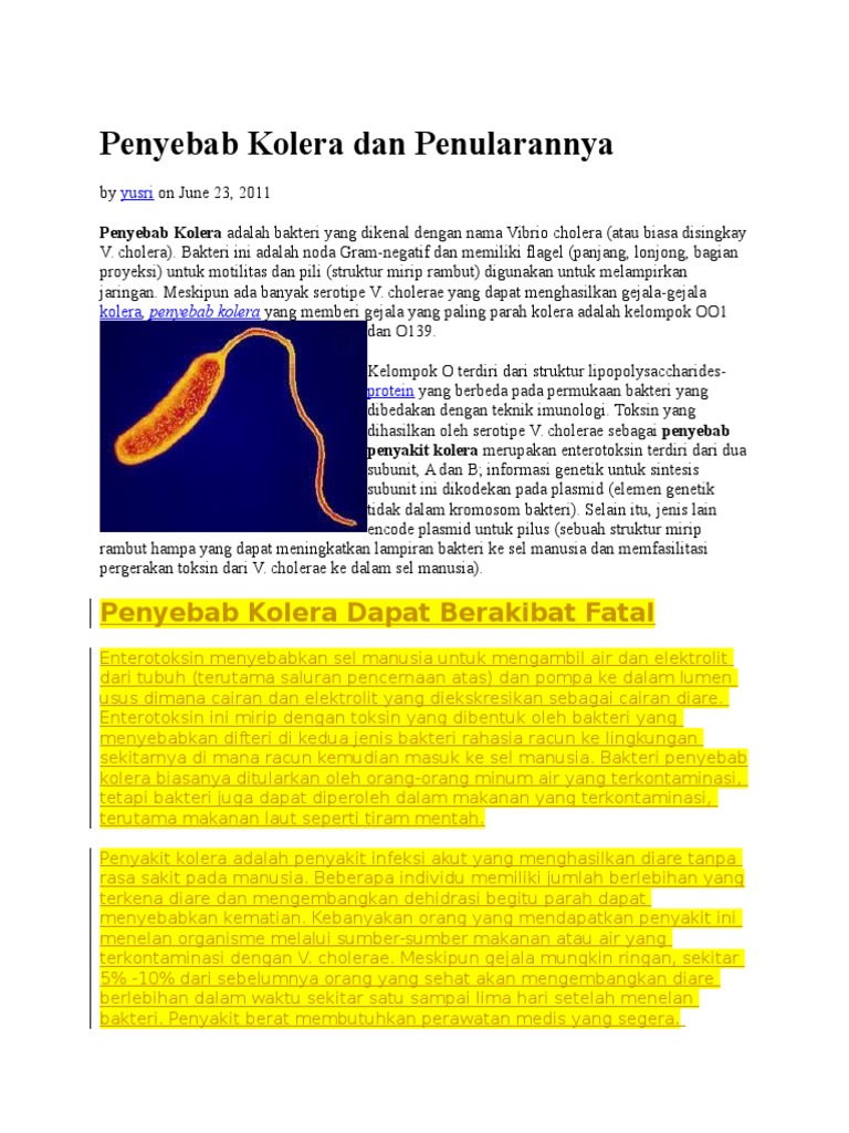 Bakteri Kolera | PDF