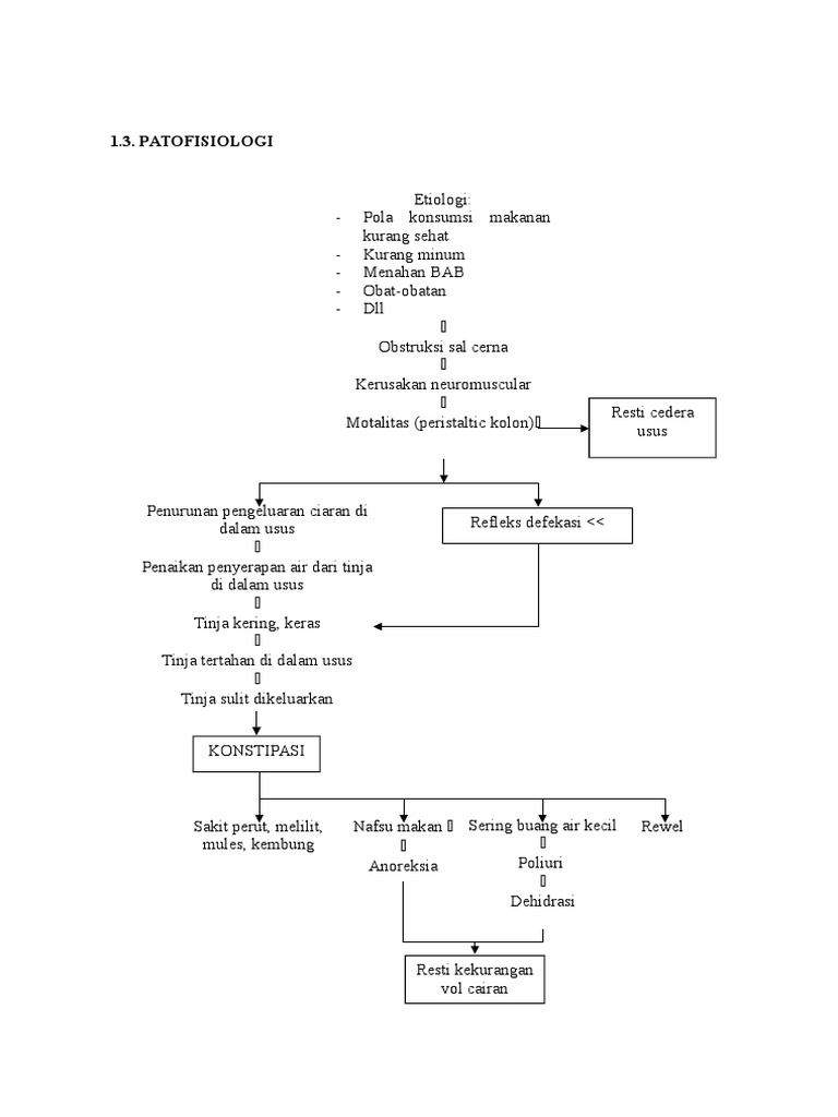Pathway Konstipasi | PDF | Kesehatan Holistik