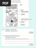 Experiment 2: Plant Tissues: Biology Sb015 Lab E-Report | PDF | Tissue ...
