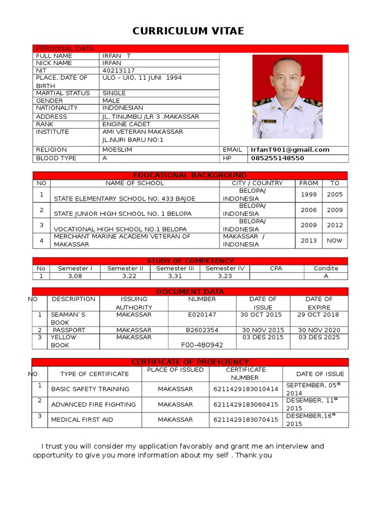 CV Irfan T | PDF