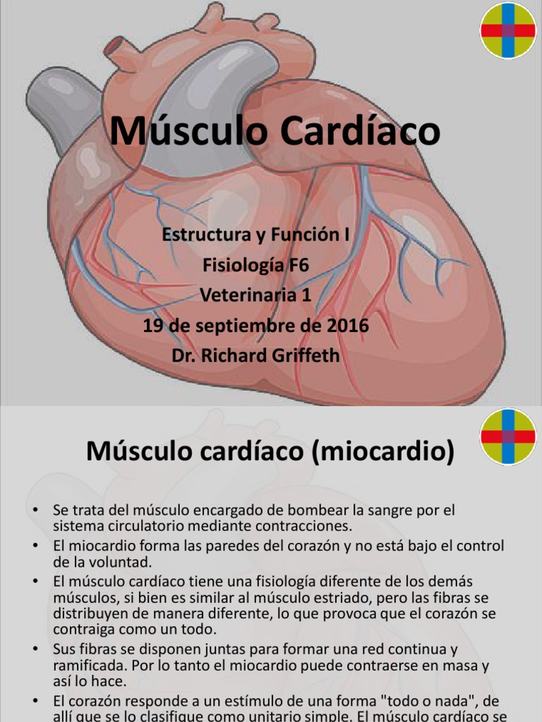 EF1 F6 Músculo Cardíaco RG | PDF | Corazón | Potencial de acción