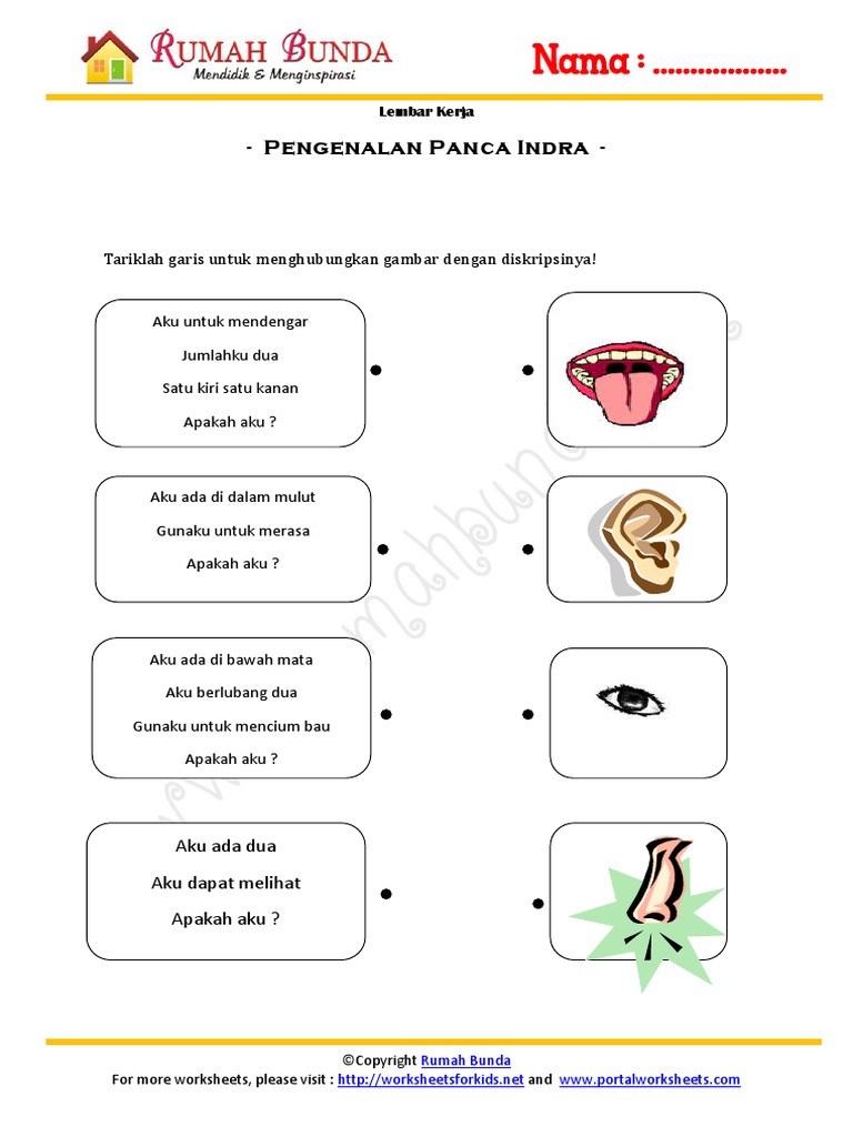 Mengenal Panca Indera | PDF | Seni & Disiplin Bahasa