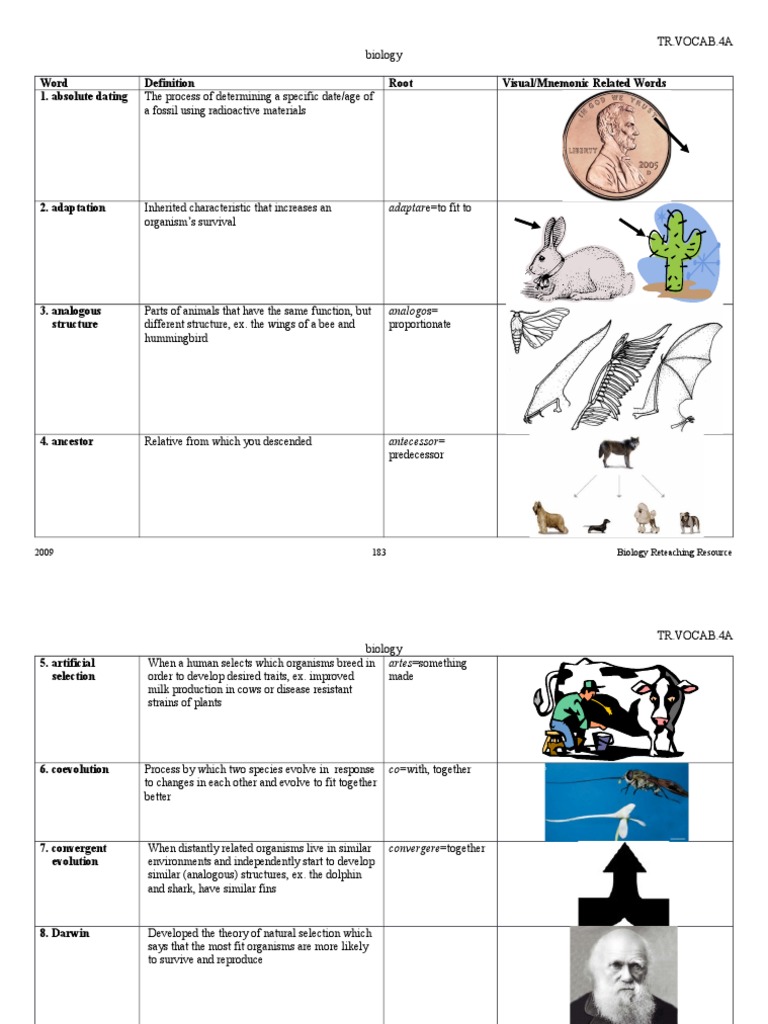 Evolution Vocab Chart | PDF | Evolution | Organisms