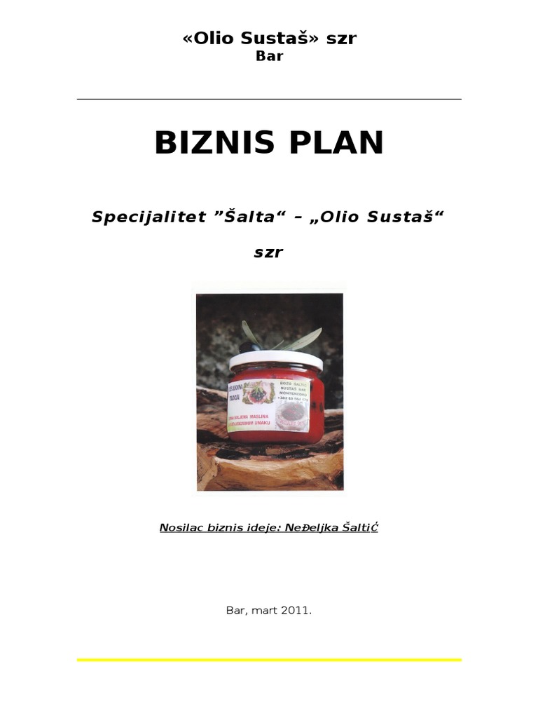 Biznis Plan - Bozo Saltic | PDF