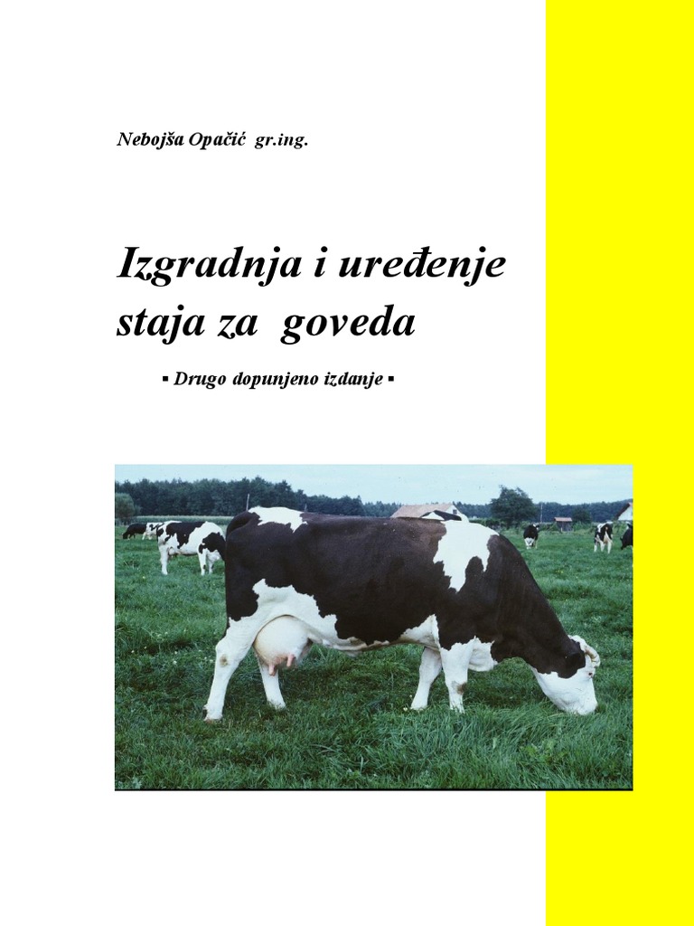 Izgradnja Staja | PDF