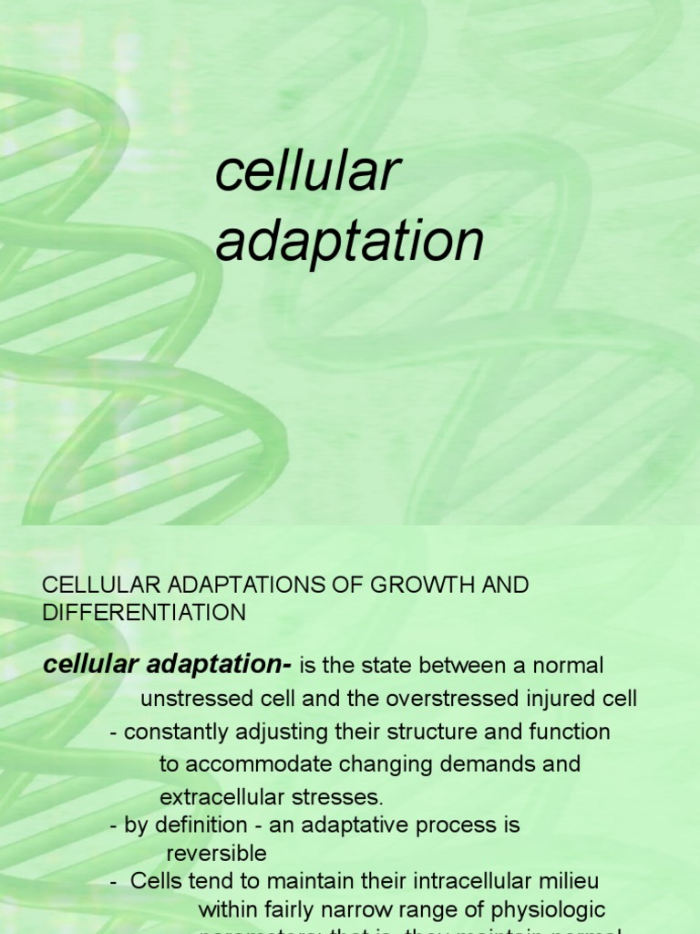Lecture On Cellular Aberration Biology | PDF | Metastasis | Cancer