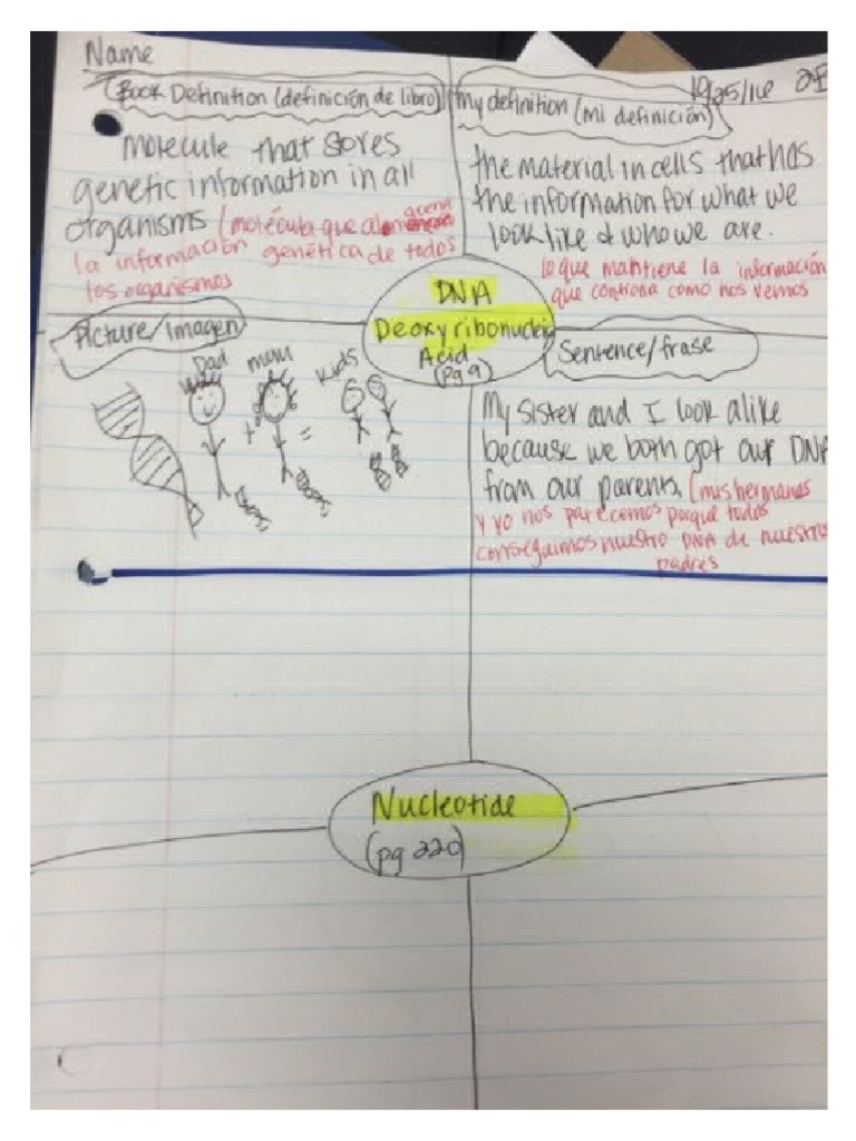Dna Vocabulary Frayer Models Homework | PDF