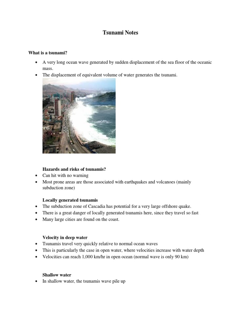 Tsunami Notes | PDF | Social Science | Travel