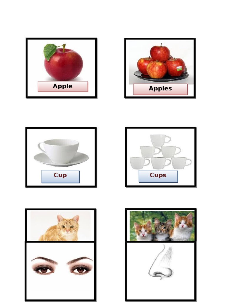 Apples Apple: Cups Cup | PDF | Home & Garden