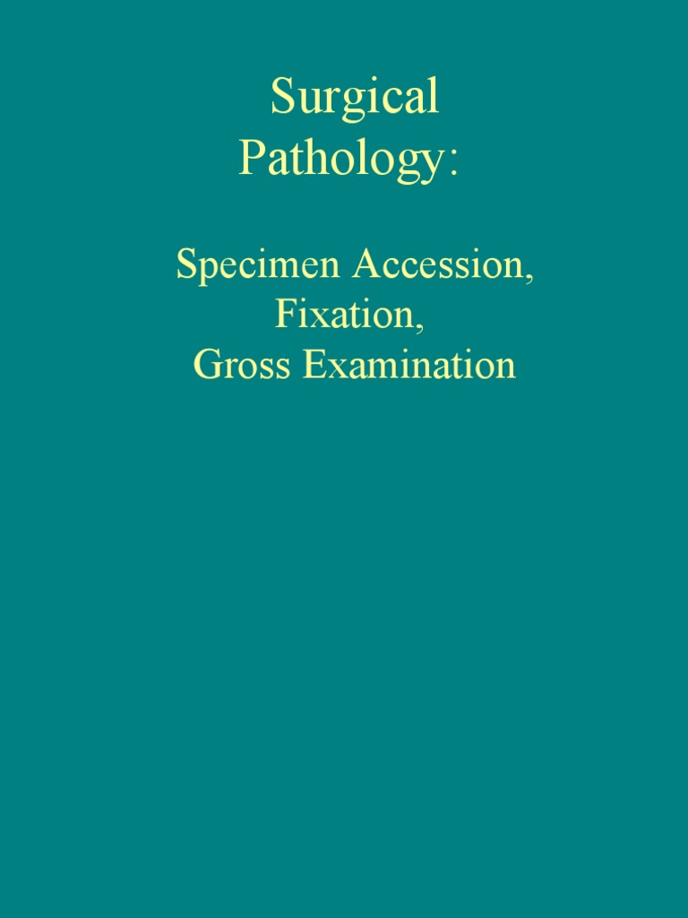 Surgical Pathology:: Specimen Accession, Fixation, Gross Examination ...