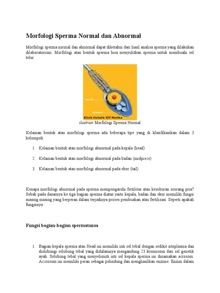 Morfologi Sperma Normal Dan Abnormal | PDF