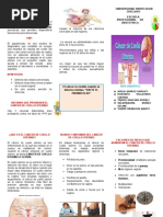 Tríptico de CÁNCER CERVICOUTERINO | PDF | Cáncer | Cáncer de cuello uterino