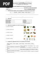 Taller de Células para Sexto Grado | PDF | Biología Celular) | Zoología
